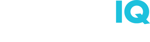 Data IQ ¡Somos expertos en el mundo de los datos!